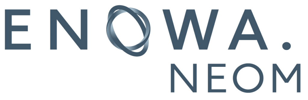 NEOM - JIP36: CFIHOS